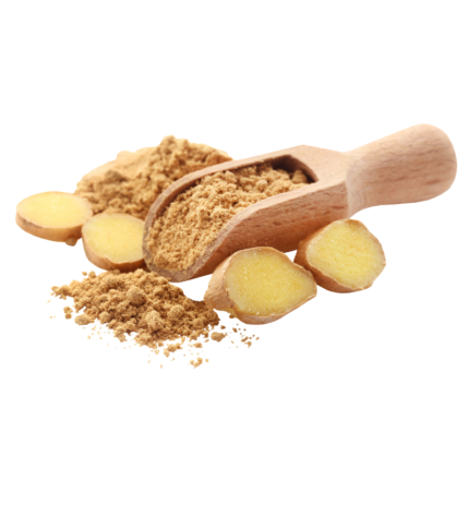 Shop - COFFEE SMELL FRESH